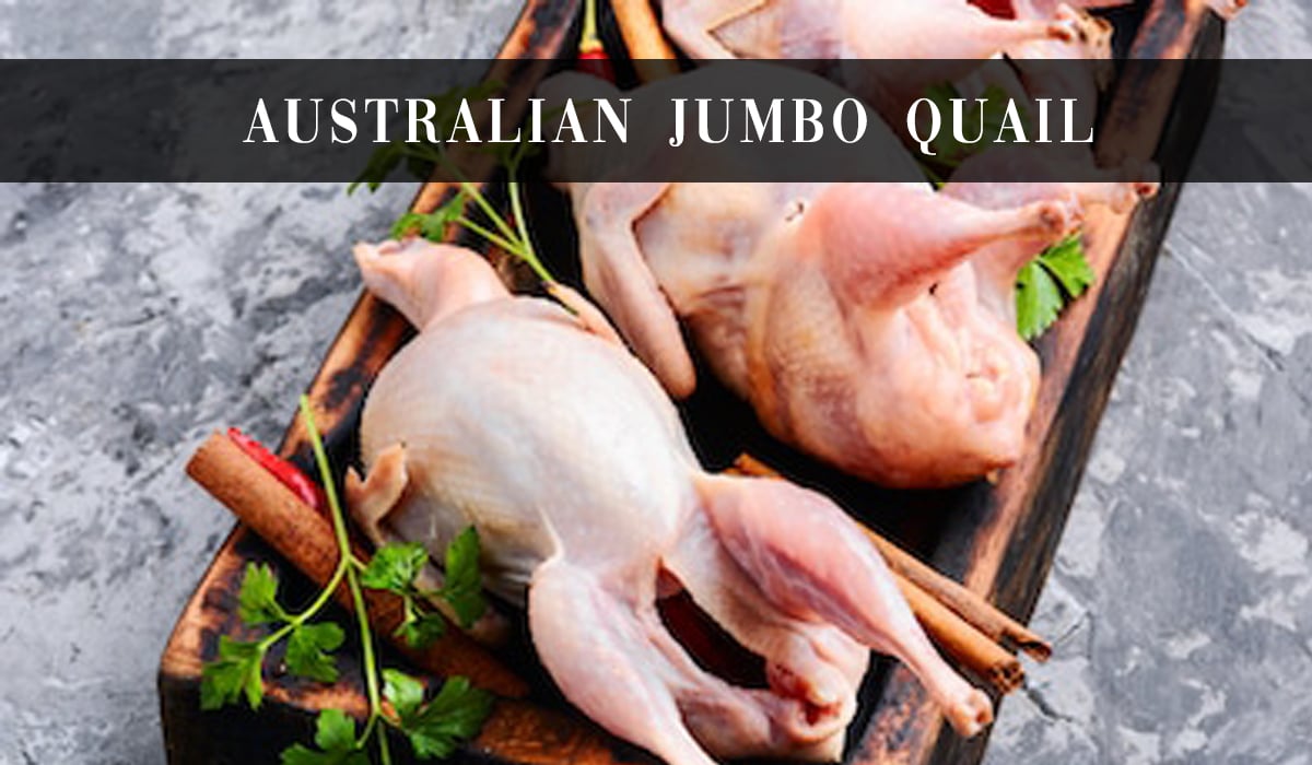 Australian Jumbo Quail…A Different Poultry You Must Try! - The French ...