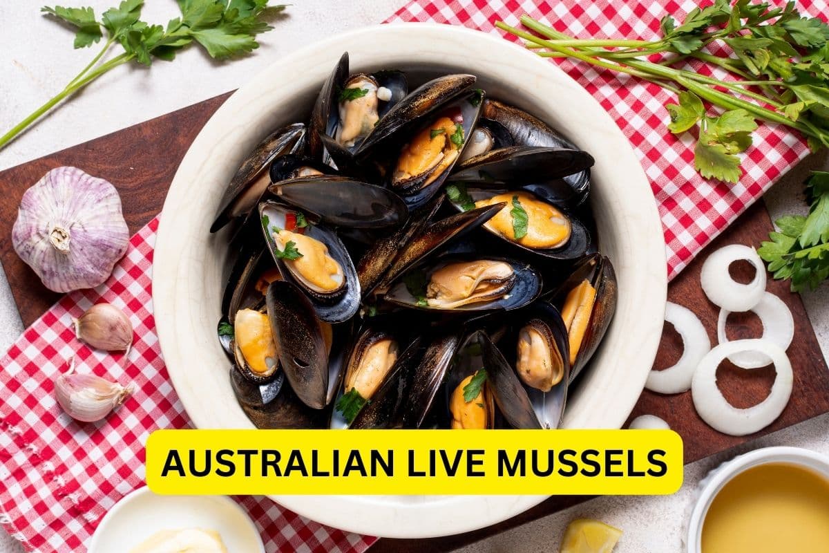 A Taste of the Sea: Australian Blue Mussels - The French Grocer Singapore