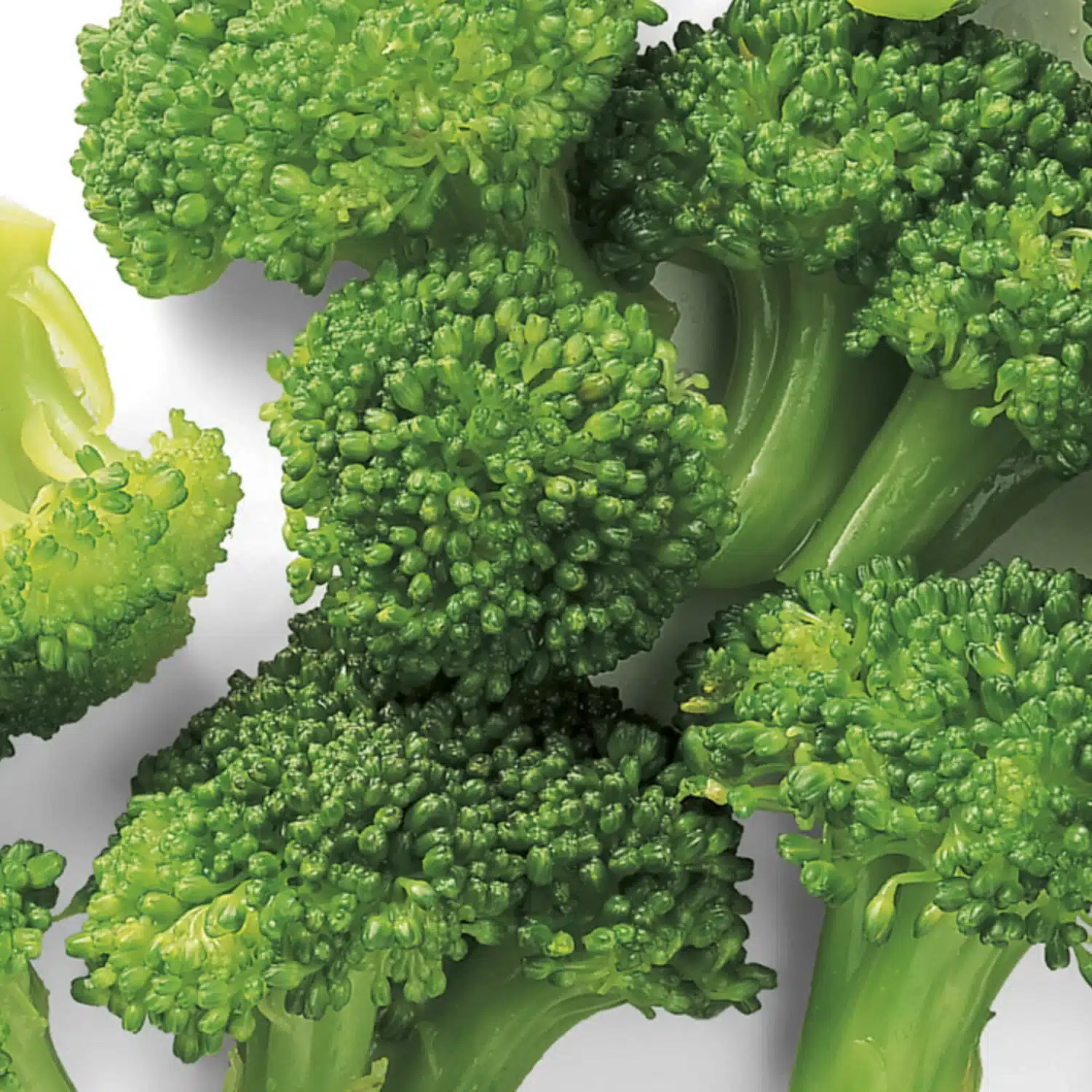 Belgium Broccoli Florets large 40/60mm 2.5kg pkt - Frozen - The French ...